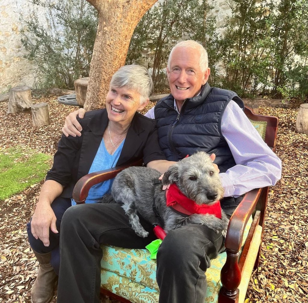 Scout and the Rescue Dogs – Dianne Wolfer